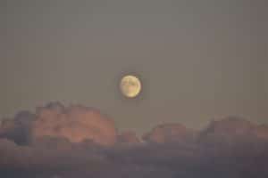 Full Moon in Virgo March 18, 2022 ~ 12:18am PST/3:18am EST ~ Theme ...