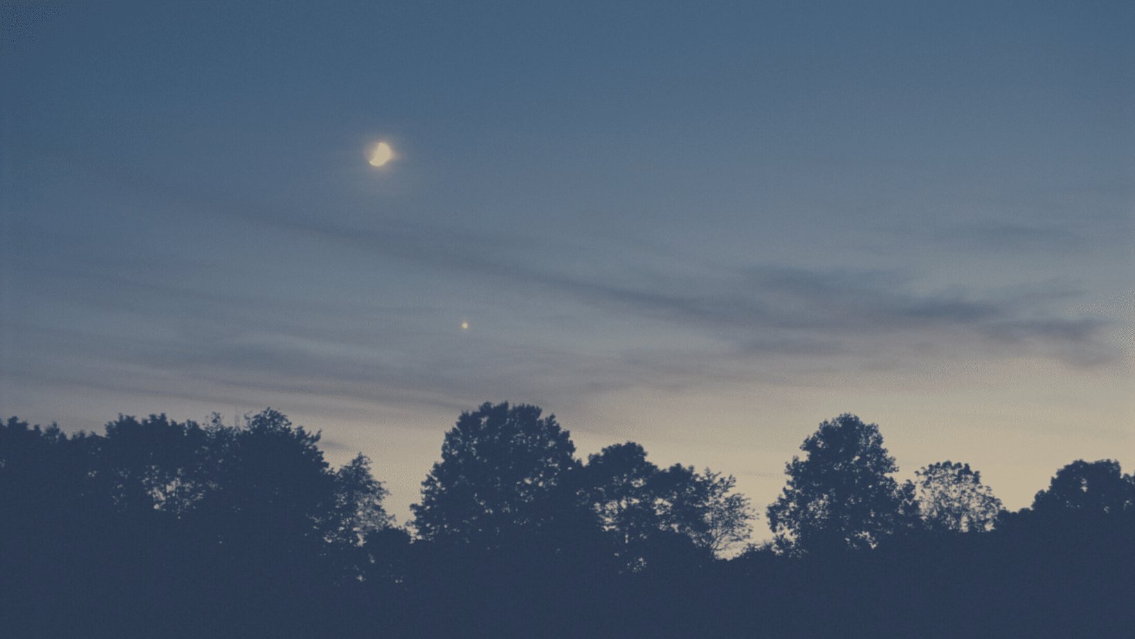 Your Love Language Based On Your Venus Sign - Rising Woman