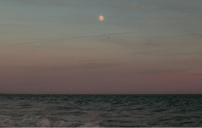 Full Moon in Cancer ~ January 3, 2026 @ 8:56 AM PT / 11:56 AM ET ...