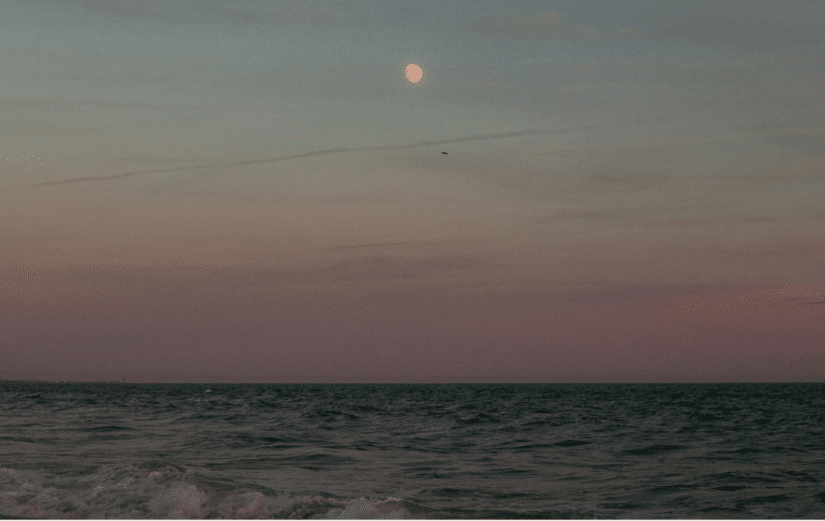 Full Moon in Cancer ~ January 3, 2026 @ 8:56 AM PT / 11:56 AM ET ...