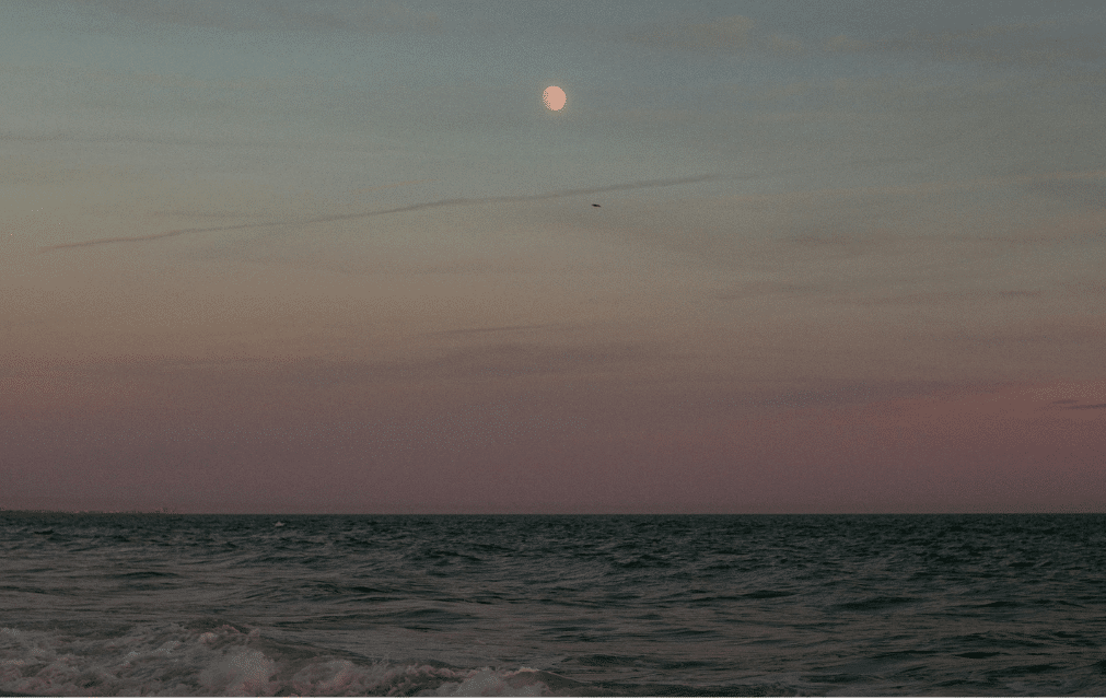 Full Moon in Cancer ~ January 3, 2026 @ 8:56 AM PT / 11:56 AM ET ...