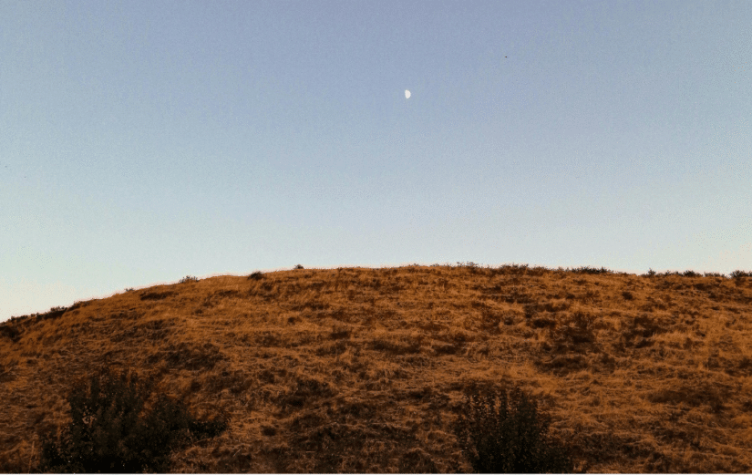 New Moon in Capricorn ~ January 18, 2026 @ 11:52am PT / 2:52pm ET ...